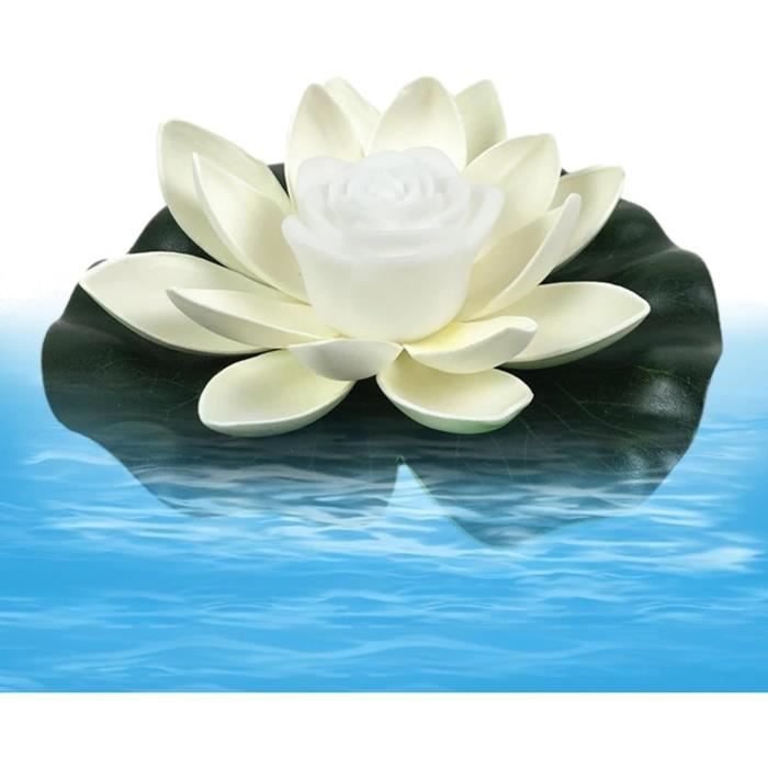 Bassin Lotus Flottant | 1-5 Pièces Fleurs Lotus Pour L'Extérieur | Eva ...