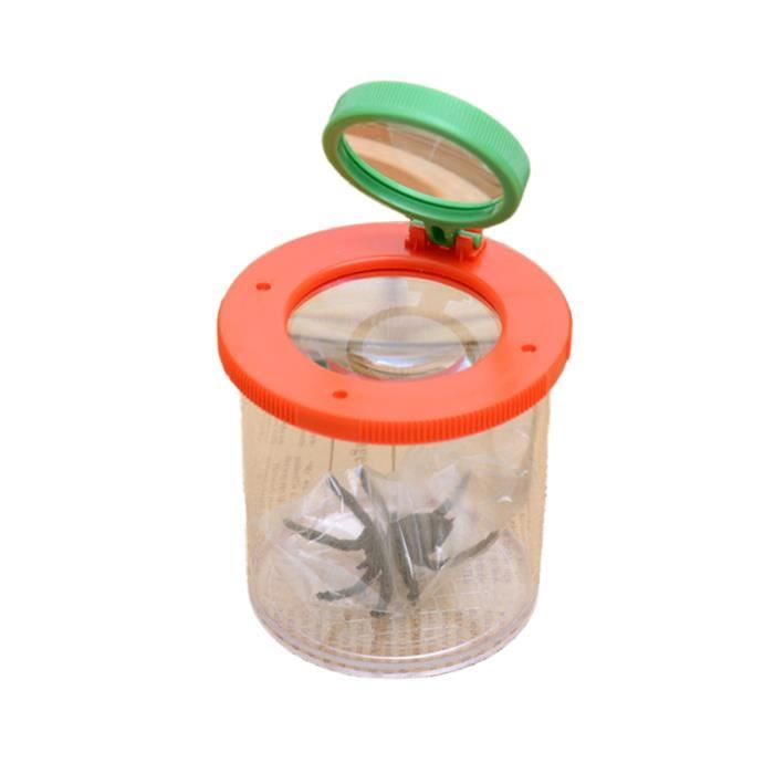 Enfants Visionneur D'insectes Loupe Biologie Science Observer ...