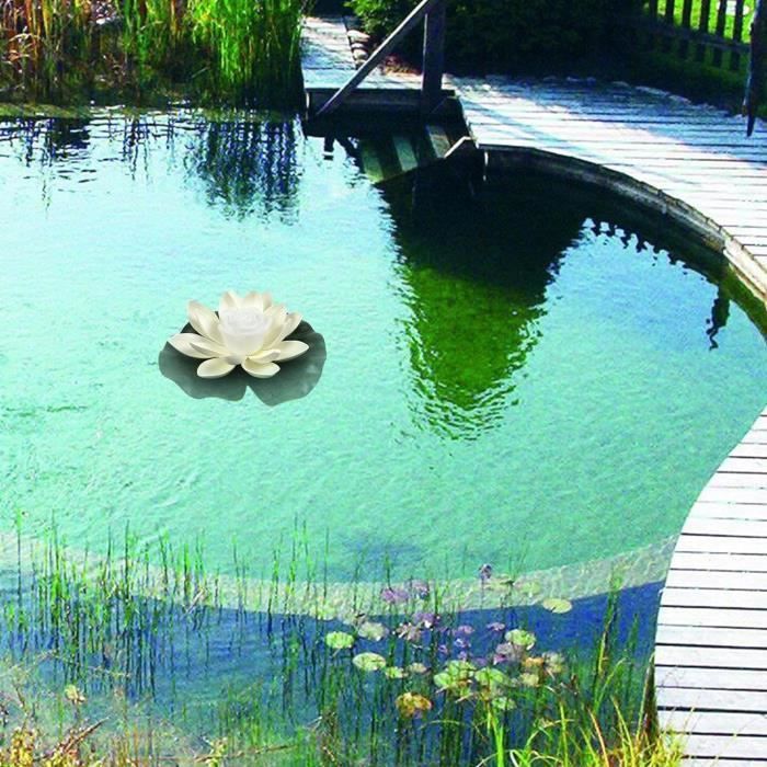 Bassin Lotus Flottant | 1-5 Pièces Fleurs Lotus Pour L'Extérieur | Eva ...