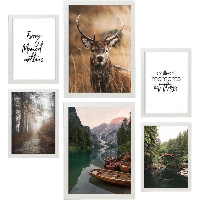 Ensemble De 6 Posters Décoratifs - Art Mural Avec Forêt, Nature Et ...