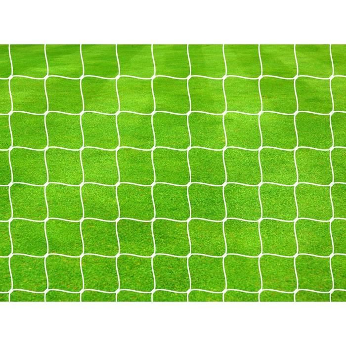 Precision filet de but de football 732 x 244 cm 2,5 mm polypropylène ...