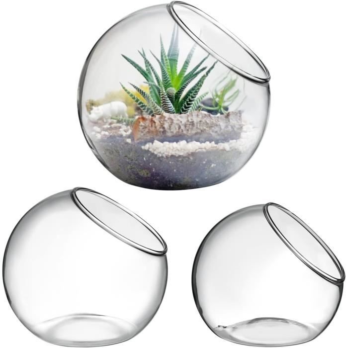 Bol À Bulles En Verre Conteneurs De Terrarium Bol Transparent Vases ...