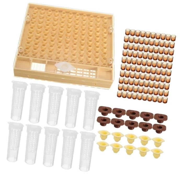 Kit d'Élevage de Cuvettes de Cellules Boîte de Reine des Abeilles ...