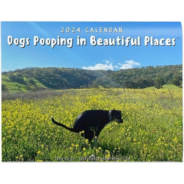 Pooping Dogs Calendrier Mural 2024 Chien Pooping Calendriers Muraux ...