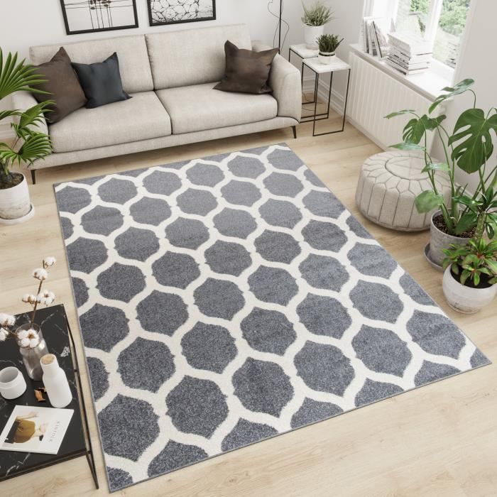 TAPISO Maroko Tapis de Salon Chambre Design Moderne Gris Foncé Crème Marocain Doux 300 x 400 cm ...