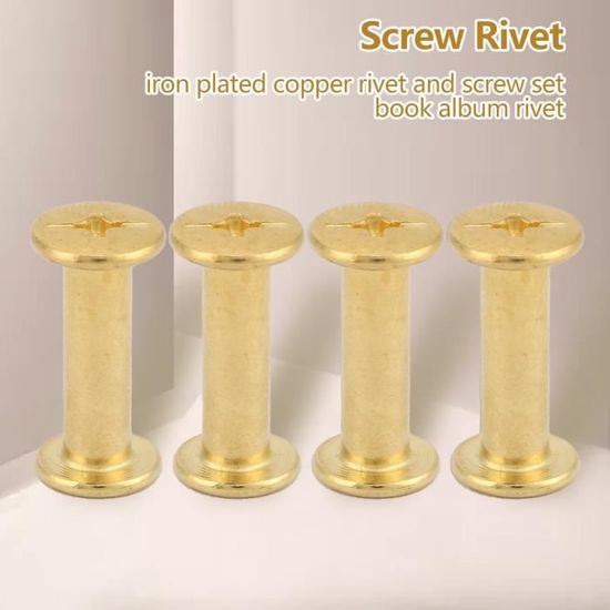 HURRISE Rivet à vis 20 pièces M5 tête plate livre Album Rivets ensemble ...