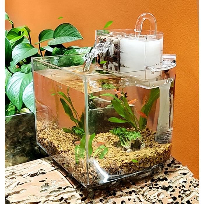 Aquarium Poisson arylique avec Couvercle et Système de Filtration ...