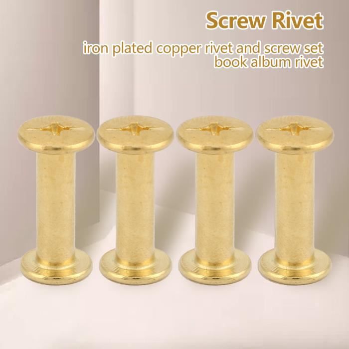 HURRISE Rivet à vis 20 pièces M5 tête plate livre Album Rivets ensemble ...
