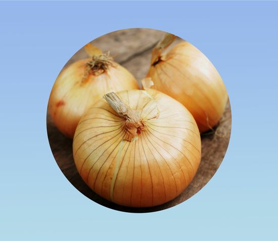 50 graines d oignon ailsa craig - saveur douce - gros jaune - Cdiscount ...