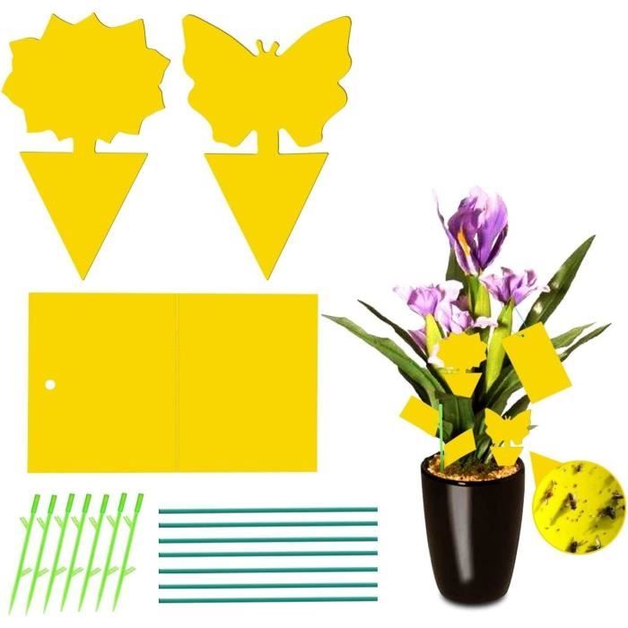 42Pcs Pièges À Insectes Pièges Engluées Autocollants Colle Double-Face ...