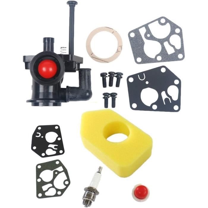 Carburateur avec Filtre à air 698369 Compatible with Briggs Stratton ...