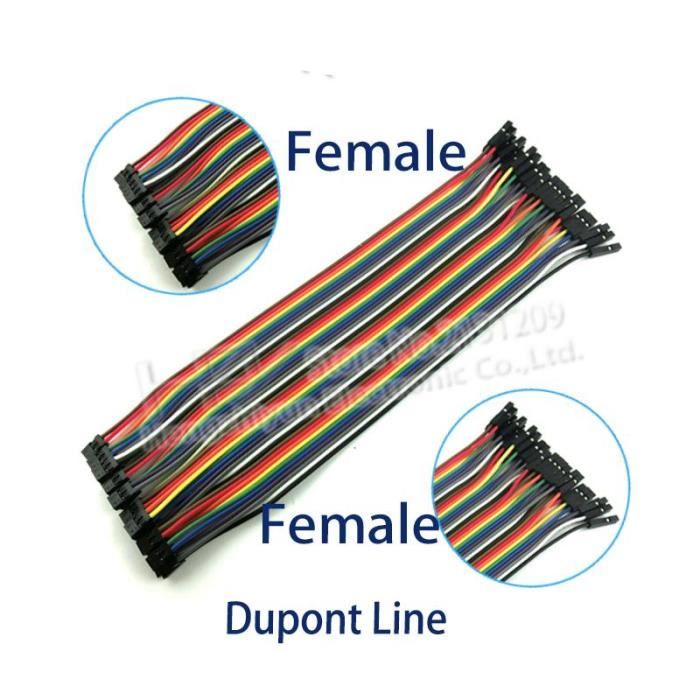 Female VS Female-20cm-40pin -10CM 20CM 30CM 40PIN arc en ciel câble ...