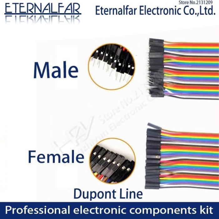 Female VS Female-20cm-40pin -10CM 20CM 30CM 40PIN arc en ciel câble ...