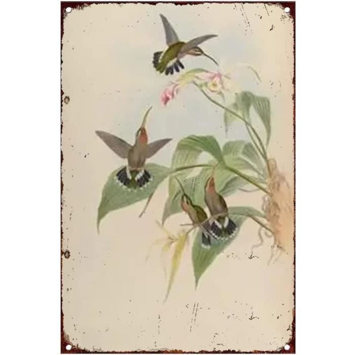 Métal Vintage Sign Plaque,Animaux Oiseau Colibri,Affiche Fer peintures ...
