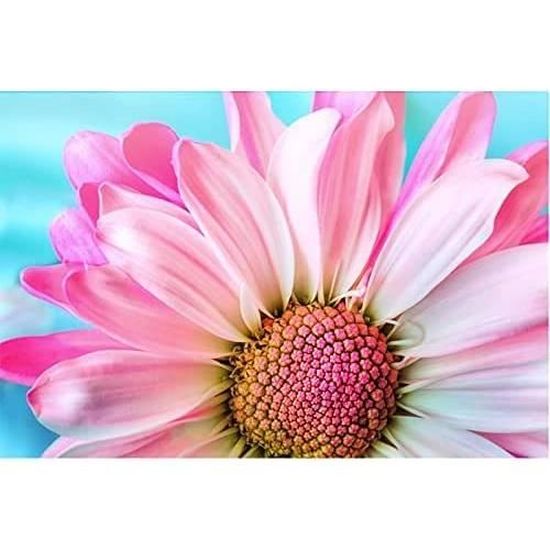 Decoration muraleAffiche d'art Mural Moderne Fleur Rose Toile Tableau ...