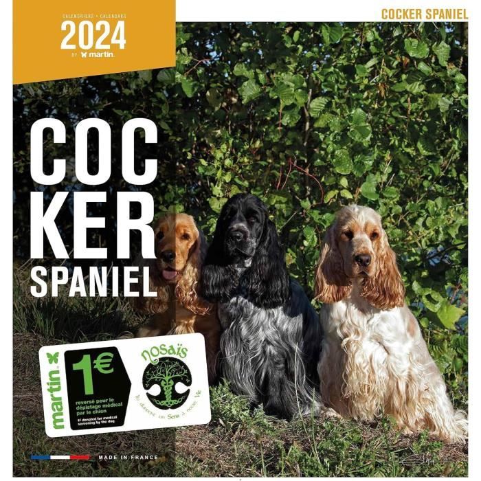 Calendrier 2024 Cocker Anglais - Cocker Spaniel (Ms) + Offert Un Agenda ... Calendrier 2024 Cocker Anglais - Cocker Spaniel (Ms) + Offert Un Agenda ...
