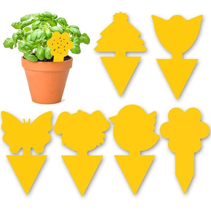 60pcs Anti Moucherons Interieur,Attrape Moucheron Plantes,Piege a ...