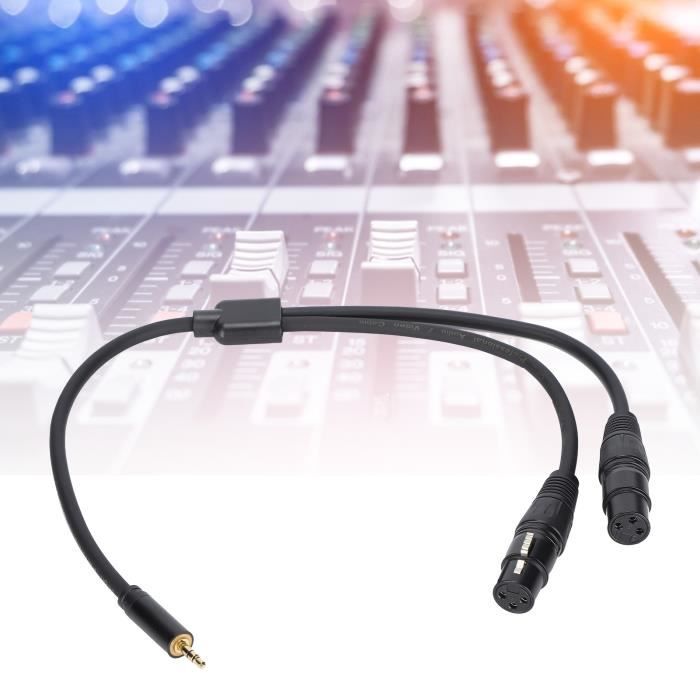 Câble Adaptateur XLR Double - TBEST - 3.5mm Jack - 0,5 m - Haute ...