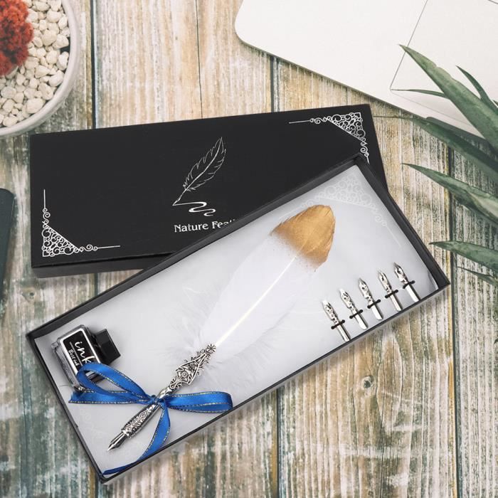 TMISHION plume plume Stylo Plume Vintage Européen Calligraphie Quill ...
