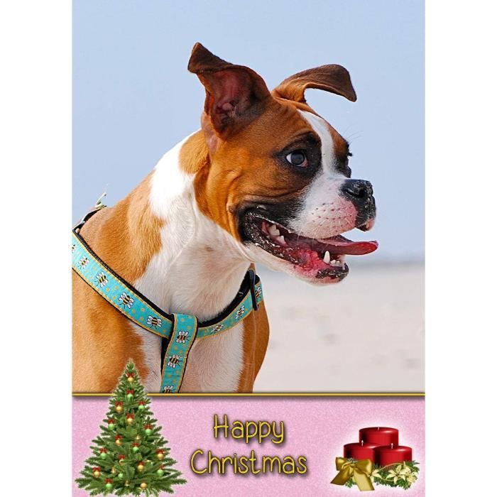 Boxer Dog Carte De Noël Happy Christmas 20,3 X 14 Cm (Mélange Et ...