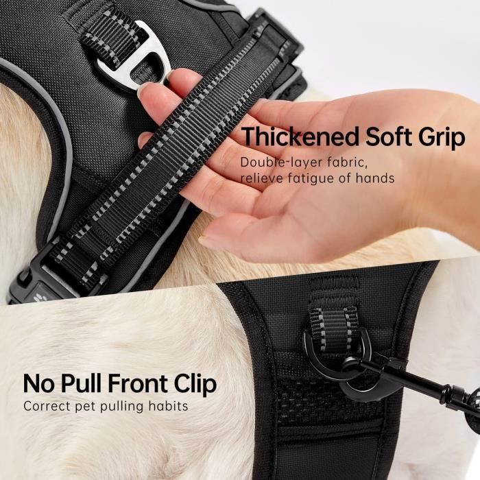 Harnais Veste Et Longe Anti Traction Pour Chiens, Colliers, Harnais Et Laisses Pour Chiens ...