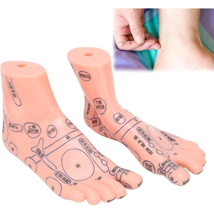 Modèle De Pied Gauche, Modèle De Pied Droit, Modèle De Point D'Acupuncture De 1 Paire De Pieds ...