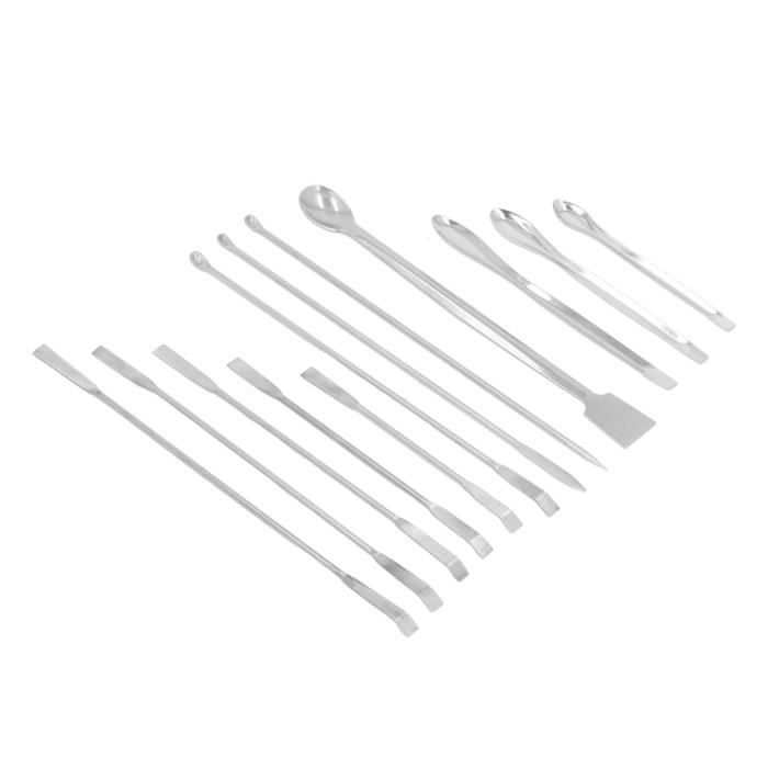 Zerone cuillère de laboratoire 12 pièces spatule de laboratoire en ...