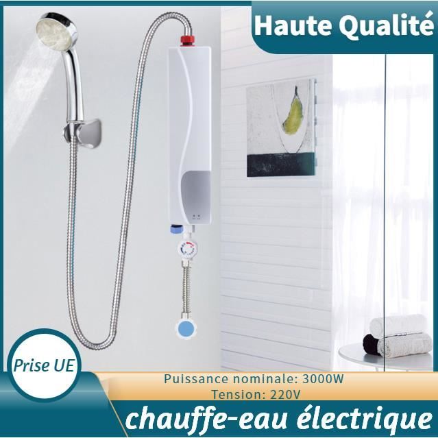 LAM Chauffe-eau, 220V 3000W Mini chauffe-eau instantané électrique sans réservoir, salle de ...
