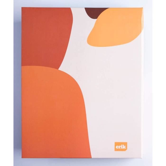 Erik®-Album Photo Terracota Grand Format-200 pochettes-13 x 20 cm[28 ...