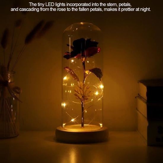 Gift-Rose Eternelle LED - Rose Eternelle Romantique - La Rose Eternelle ...
