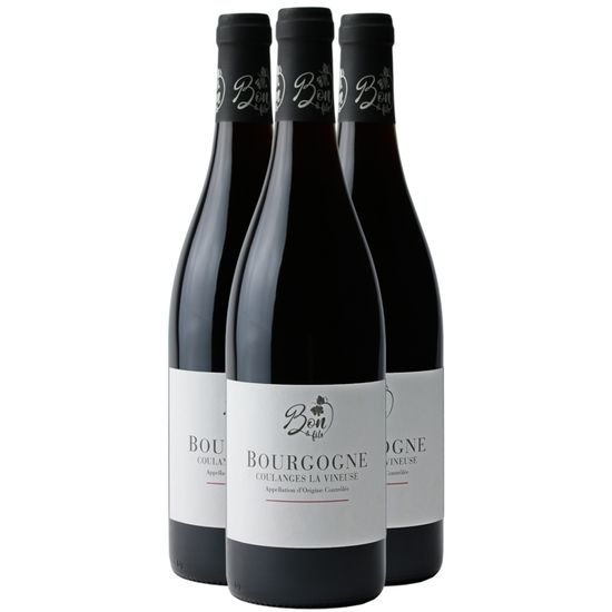 Domaine Bon et Fils Bourgogne Coulanges-la-Vineuse 2022 - Vin Rouge de ...