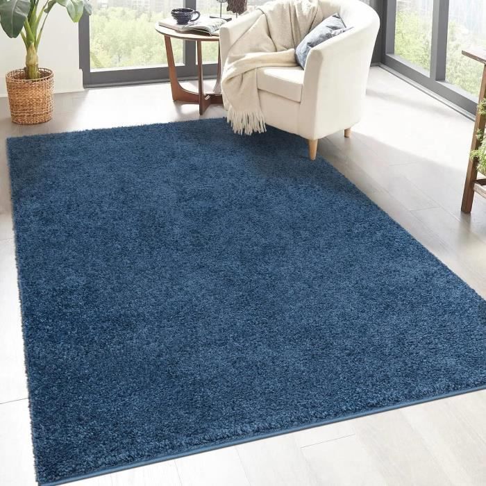 Shaggy Tapis De Salon, À Poils Longs, Motif Uni, Bleu, 150 X 150 Cm, Carré, Doux Et Moelleux ...