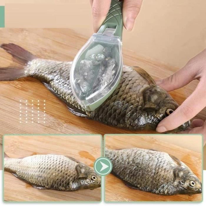 Lame de grattoir MAVURA »FISHY grattoir à écailles de poisson ...