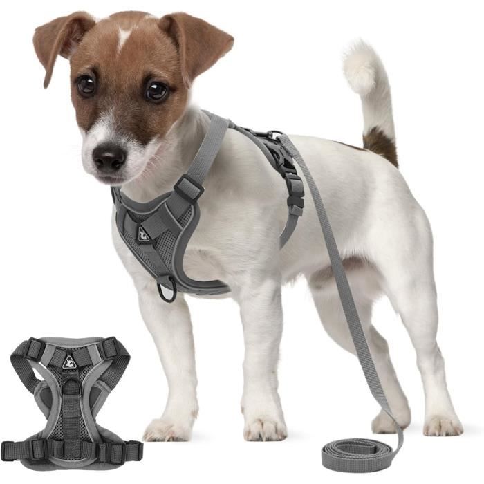 Harnais Pour Chiens Petite Moyen Grand Taille, Harnais Animaux Réfléchissant Avec 1,5M Laisse ...