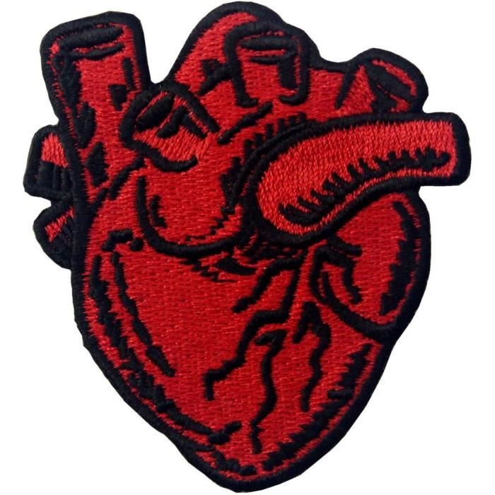 X-Ray Anatomical Coeur Brodé De Fer à Coue Sur Le Patch325 - Cdiscount ...