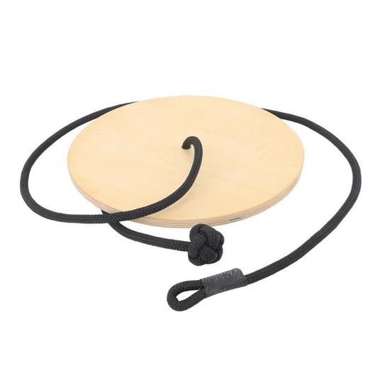 ESTINK Balanoire à corde à disque Balance dePivotant à Corde à Disque ...