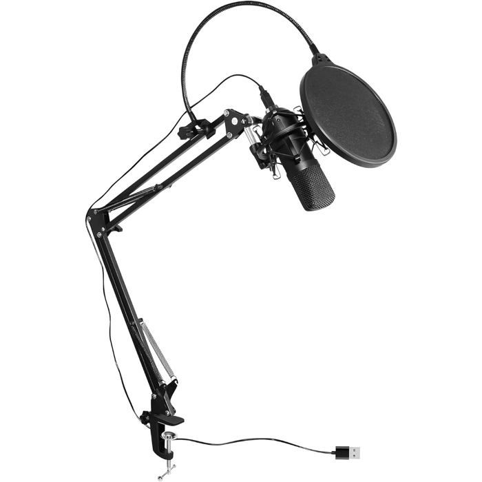 Influence Microphone Cardioïde A Condensateur, Qualité Professionnelle ...