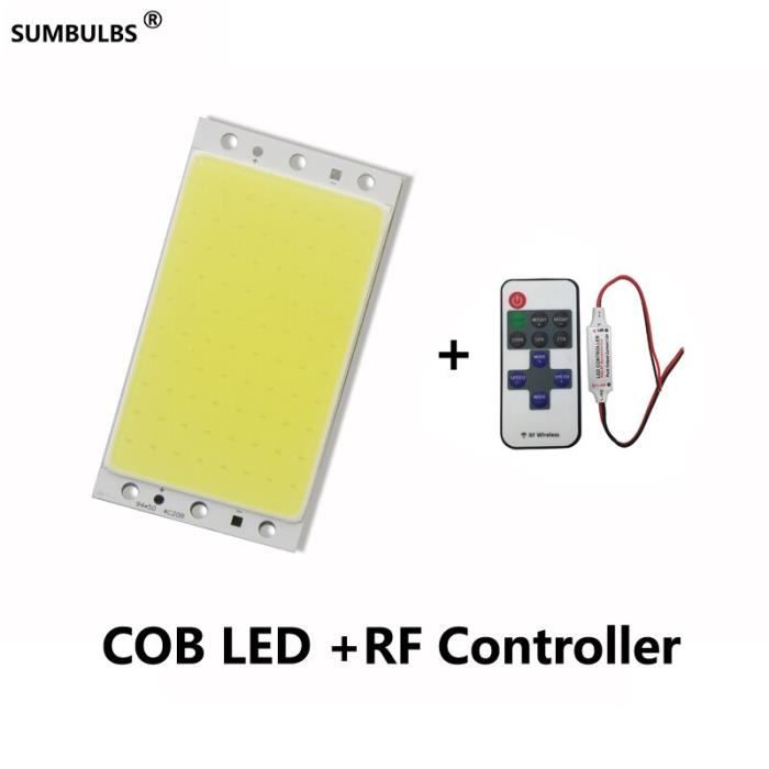 (LED With Dimmer|Red 620nm)Panneau lumineux LED 12V 16W COB avec ...