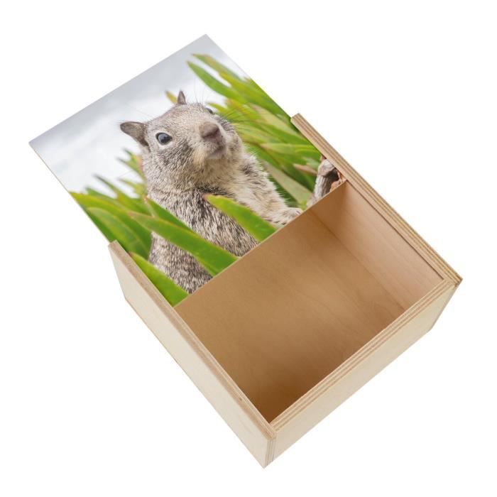 Boîte en bois - Marmotte Dans L'Herbe - 11 x 11 x 3,5 cm - Élégante ...