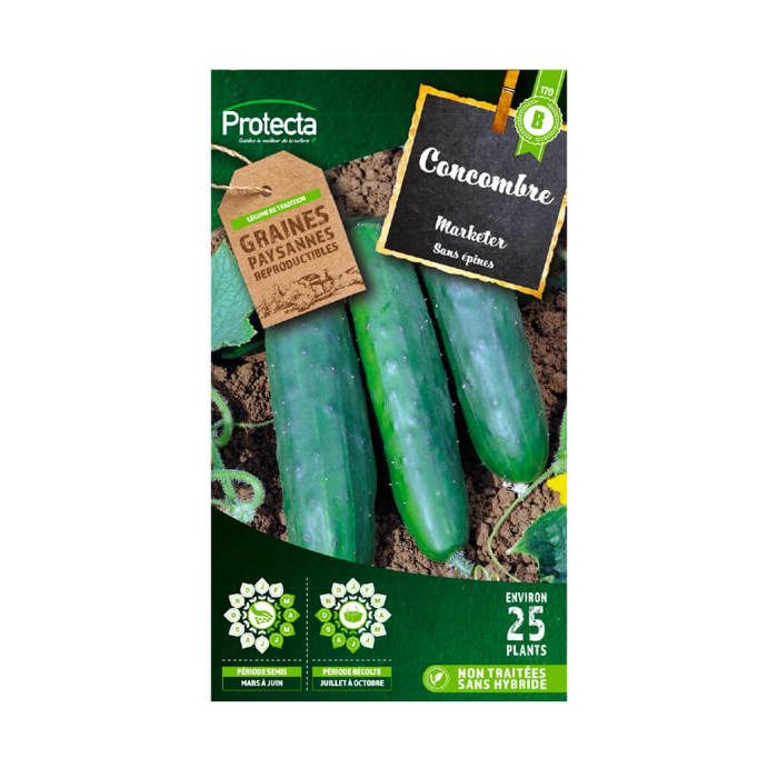 Concombre Marketer - Cdiscount Au quotidien