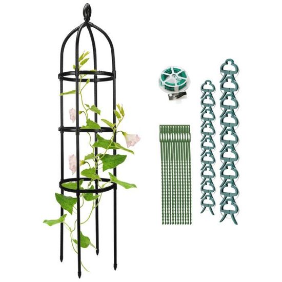 ESTINK Arche de jardin en fer solide pour plantes grimpantes ...