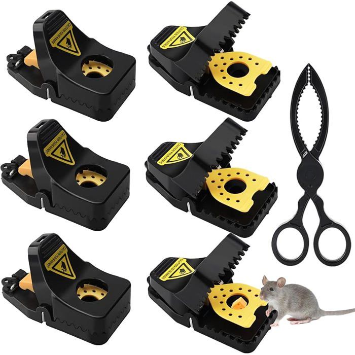 Pige Souris Castoramanull