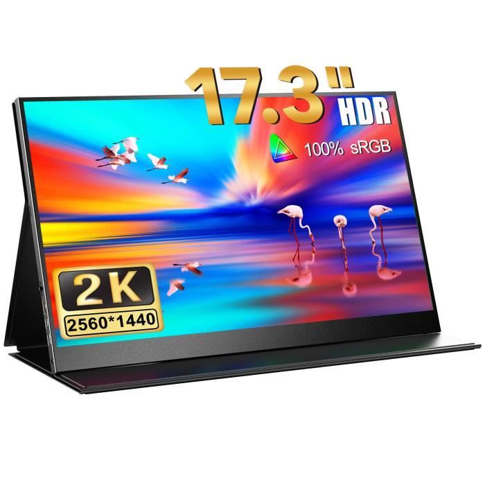 Écran Portable 17 Pouces CDISPLAY - Moniteur 2K USB-C Gaming pour ...