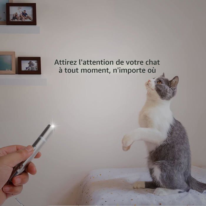 Jouets Interactifs Pour Chats Et Chiens, Jouet Chat Avec Voyant Led ...