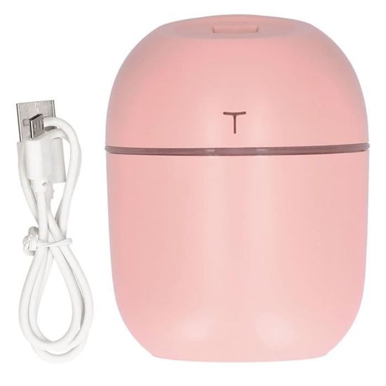 (Rose Type De Tour Penchée De Pise) Diffuseur 'huiles Essentielles ...