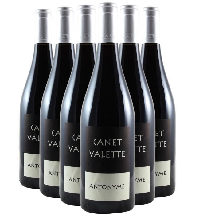 Saint-Chinian Antonyme Rouge 2020 - Bio - Lot de 6x75cl - Domaine Canet ...