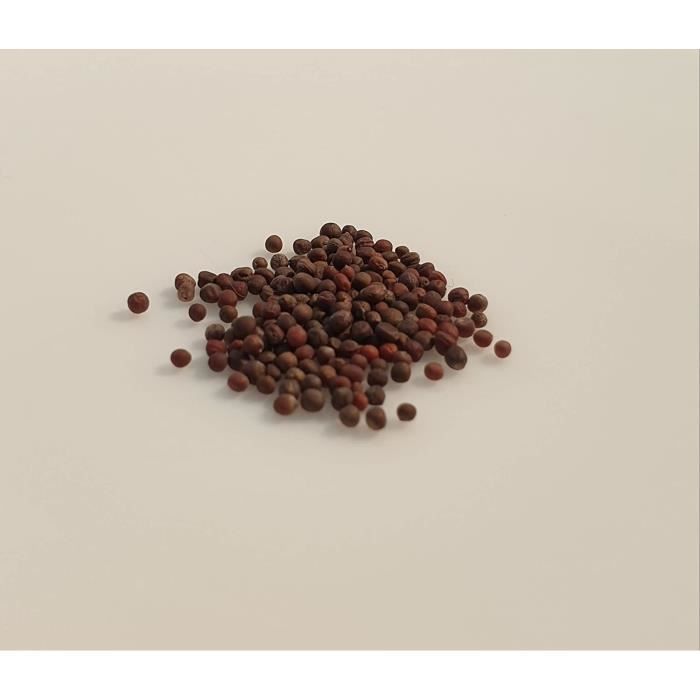 100 graines - CHOU FLEUR des 4 saisons - Brassica oleracea[J1 ...