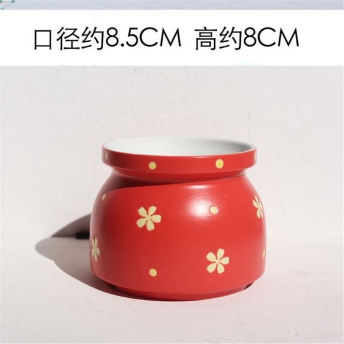 POT DE FLEUR,1--Pot de plantes succulentes avec trou, Design Floral ...