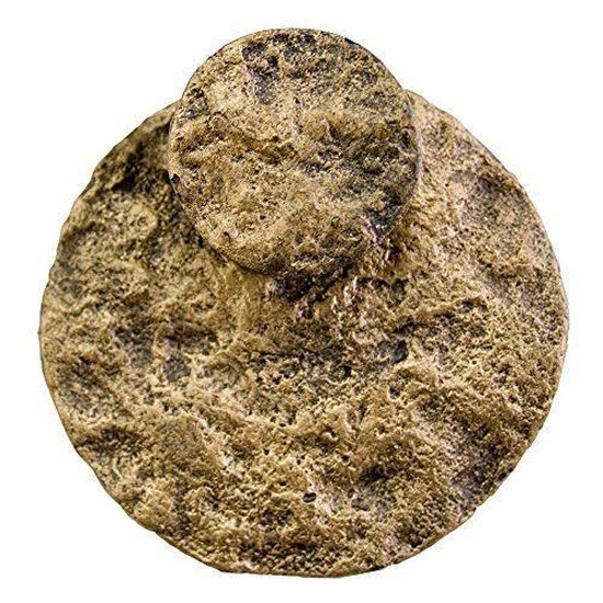 Trim-Tram Trim - Tram Luna Embrasse Magnétique en Résine Bronze ...