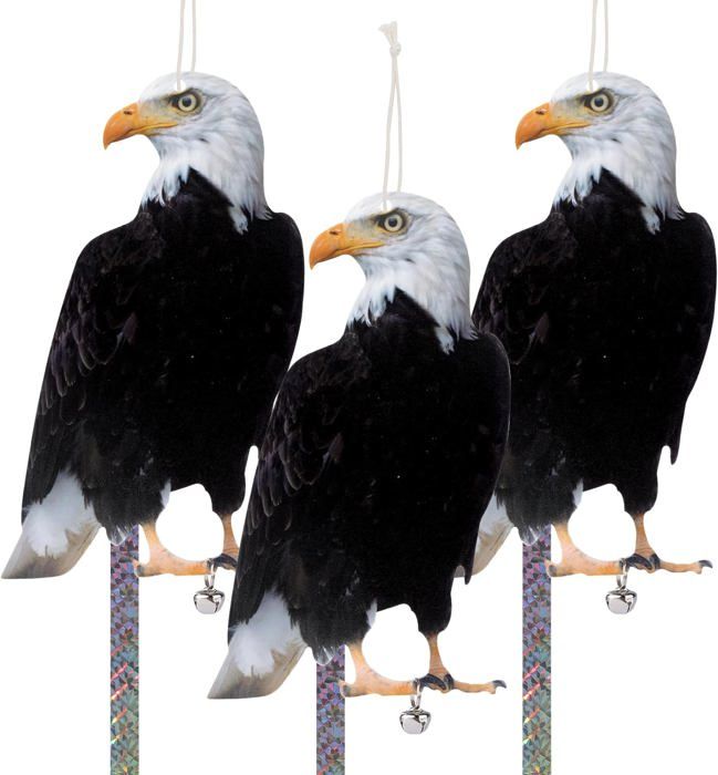 Lot de 3 répulsifs anti-oiseaux en forme de chouette - Pour dissuasion ...